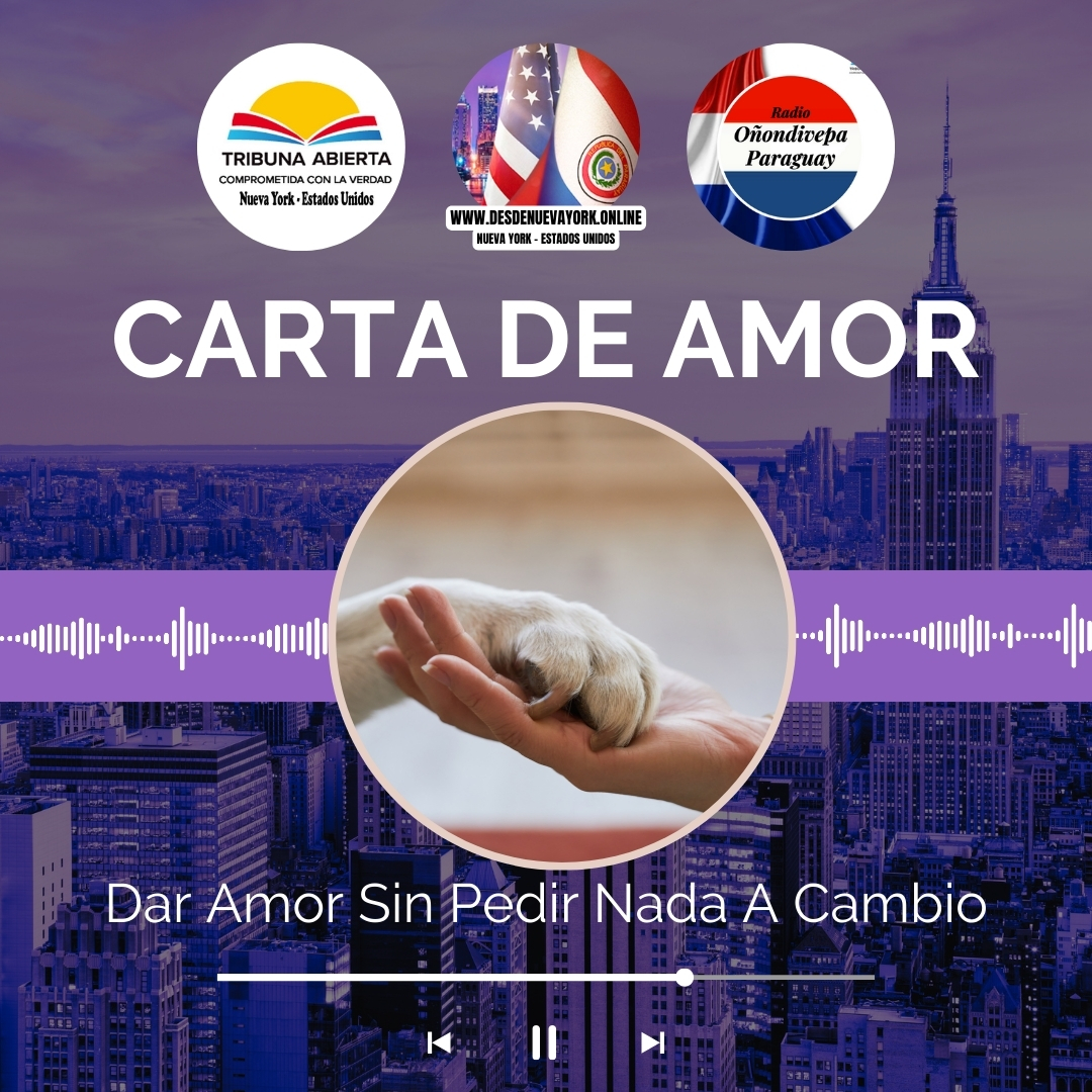Dar Amor Sin Recibir Nada a Cambio – Cartas de Amor - Desde Nueva York